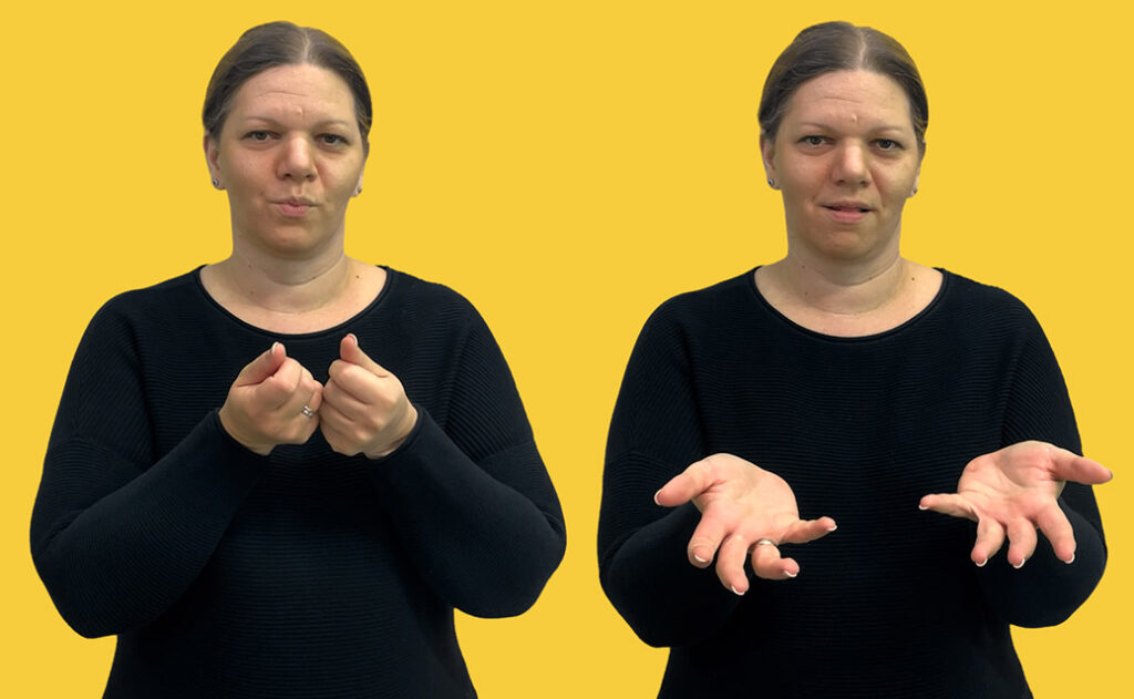 Wie kann man Plural in ÖGS ausdrücken? – Gebärdensprachen für Kinder ...